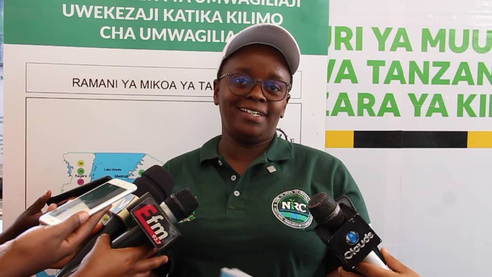 Umwagiliaji kumwezesha mkulima kulima mara mbili mpaka tatu kwa mwaka ...