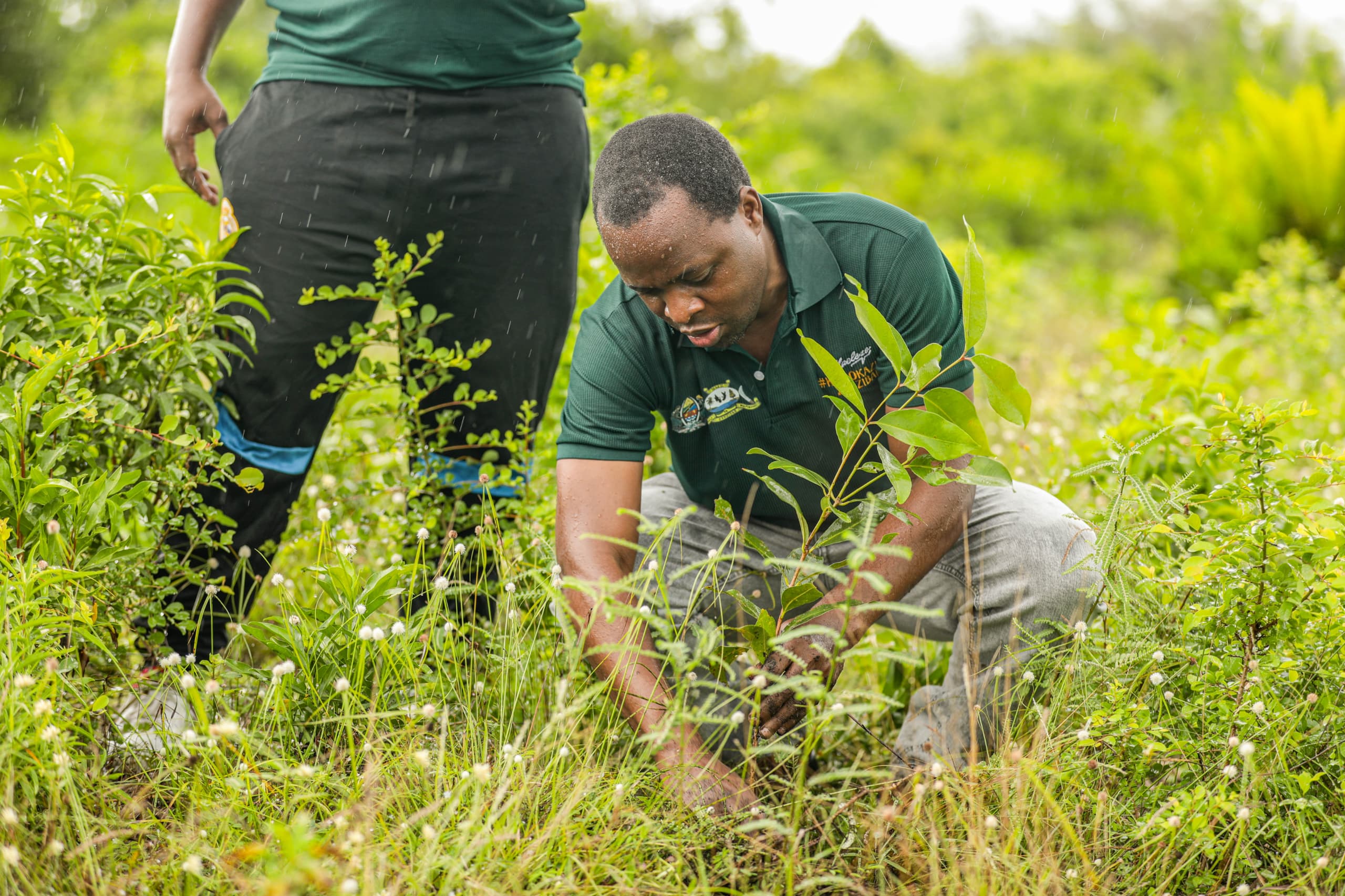 Msigwa Awataka Wakuu Wa Mikoa Kuandaa Maeneo Ya Upandaji Miti | Habari ...